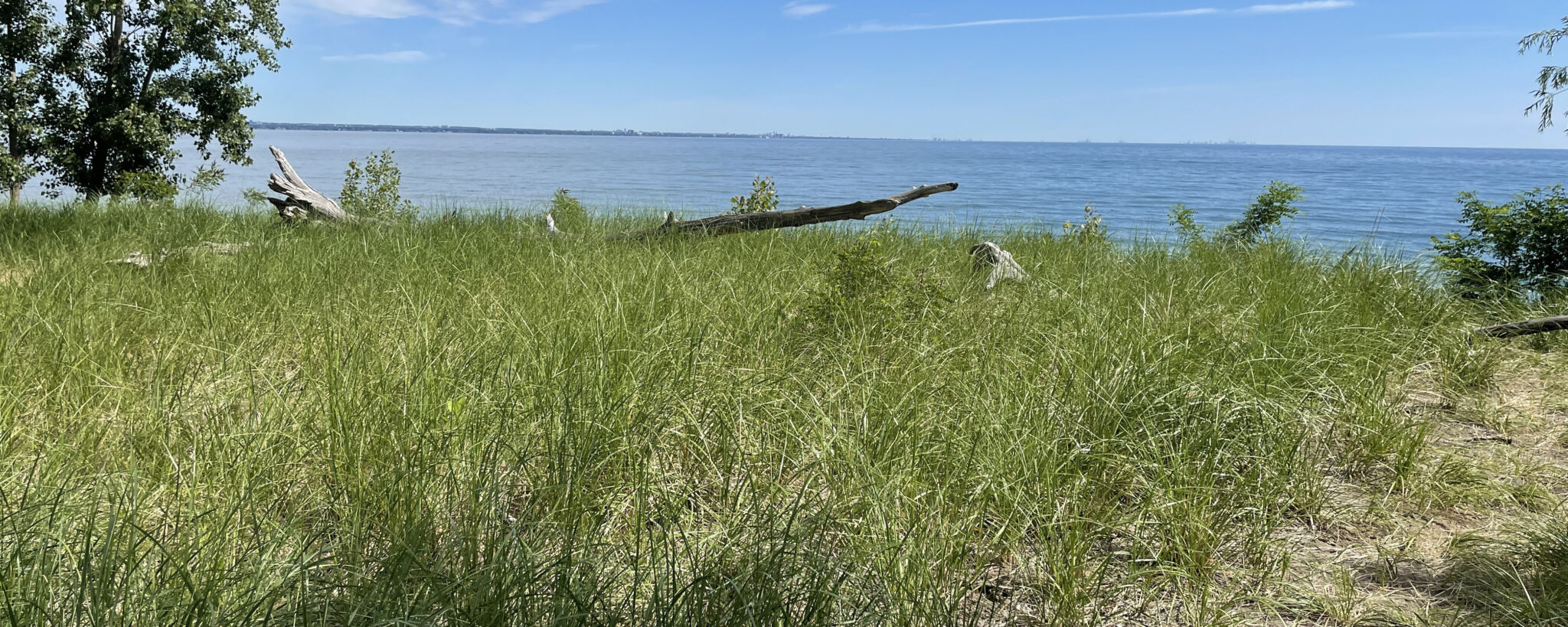 Conservation Areas - Hamilton Conservation Authority