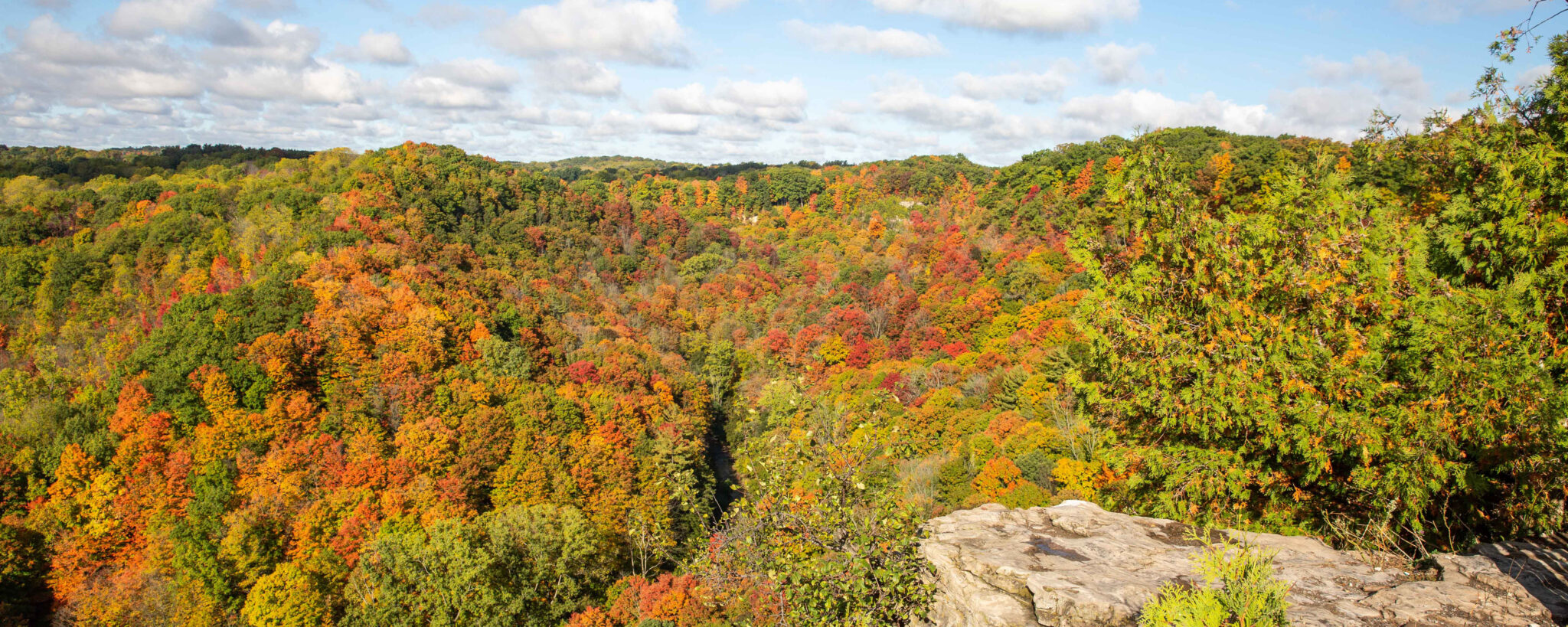 Conservation Areas - Hamilton Conservation Authority