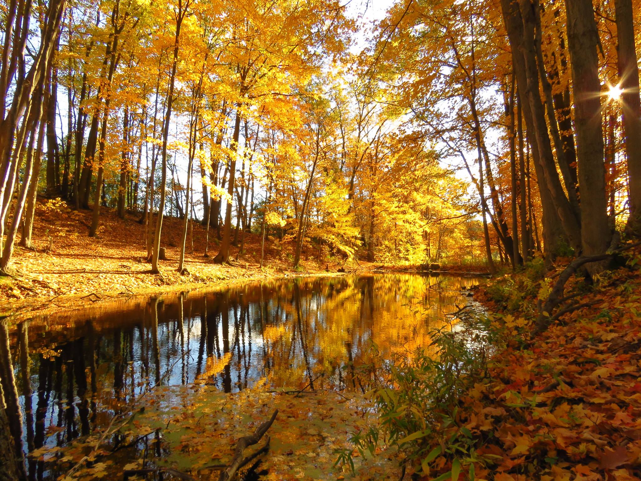 Autumn Adventures at HCA - Hamilton Conservation Authority