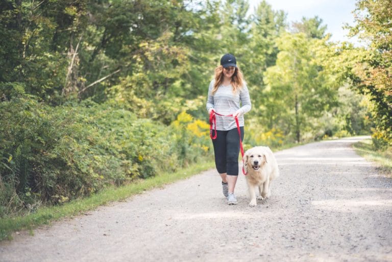 Hiking & Recreational Trails - Hamilton Conservation Authority