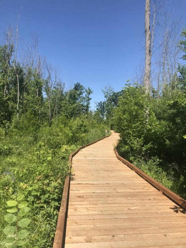 Natural Areas - Hamilton Conservation Authority