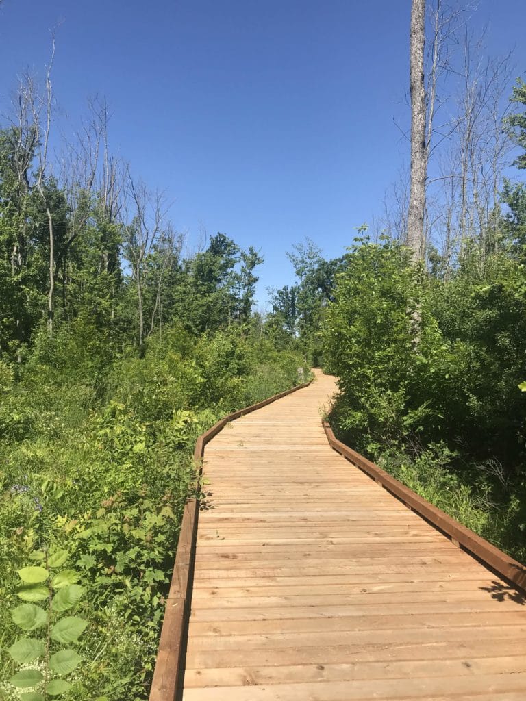 Natural Areas - Hamilton Conservation Authority