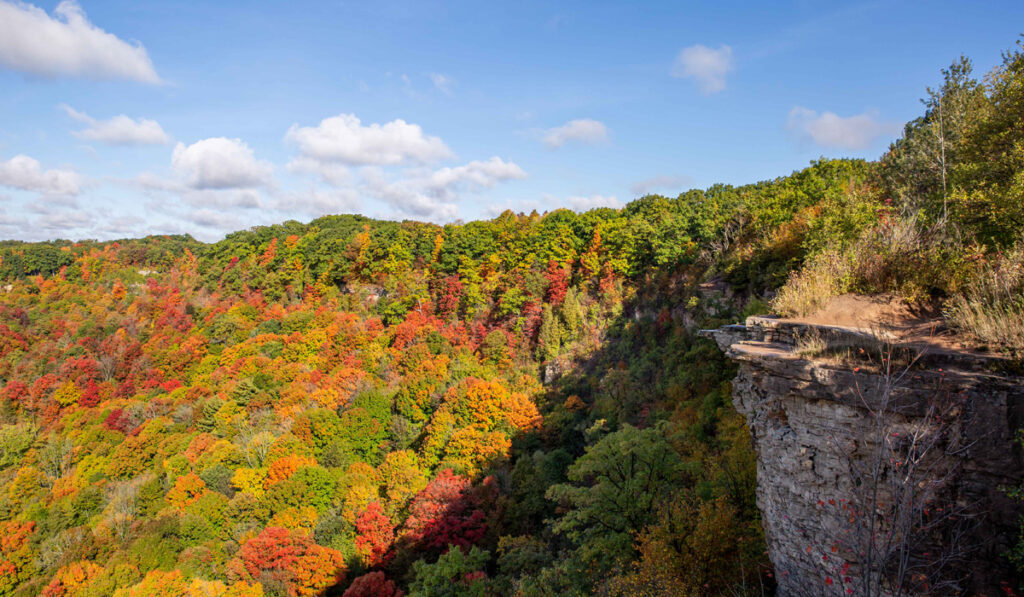 Hamilton Conservation Authority
