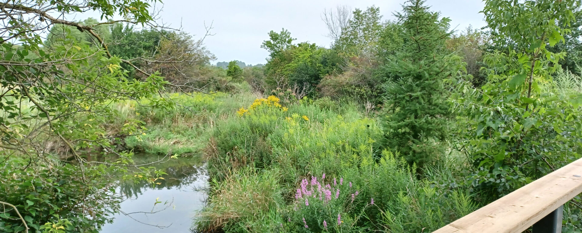 Conservation Areas - Hamilton Conservation Authority