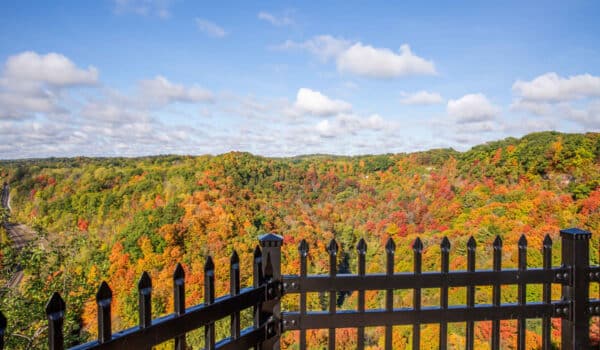 Fall Colour Updates - Hamilton Conservation Authority