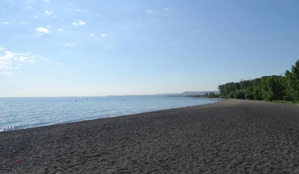 Reptile and Amphibian Hibernation - Hamilton Conservation Authority