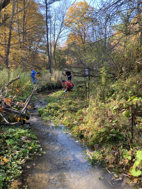 Volunteer Opportunities at HCA - Hamilton Conservation Authority