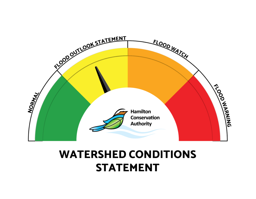 Living with Coyotes - Hamilton Conservation Authority
