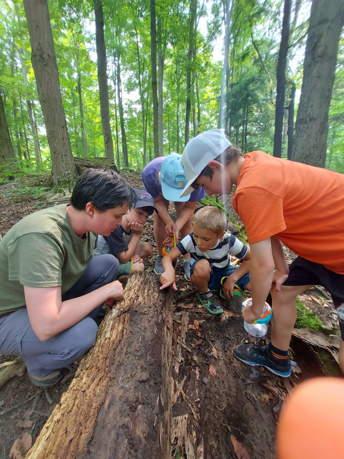 Environmental Education - Hamilton Conservation Authority