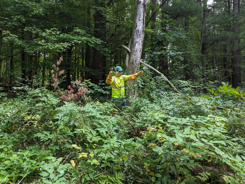 Meet the Invasive Species Team - Hamilton Conservation Authority