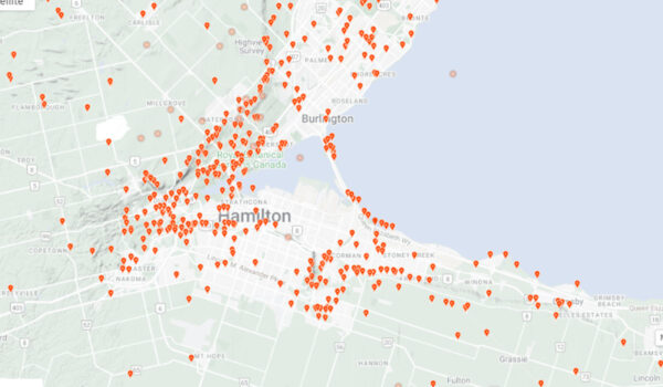 All About Invasive Jumping Worms - Hamilton Conservation Authority