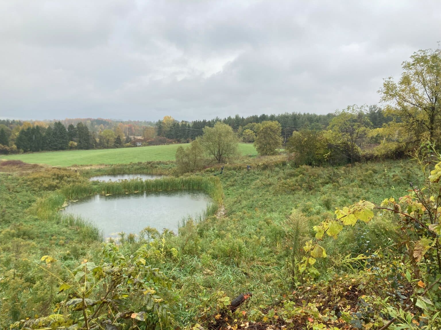 Hamilton Conservation Authority