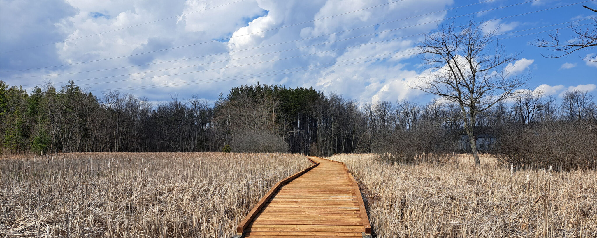 Conservation Areas - Hamilton Conservation Authority