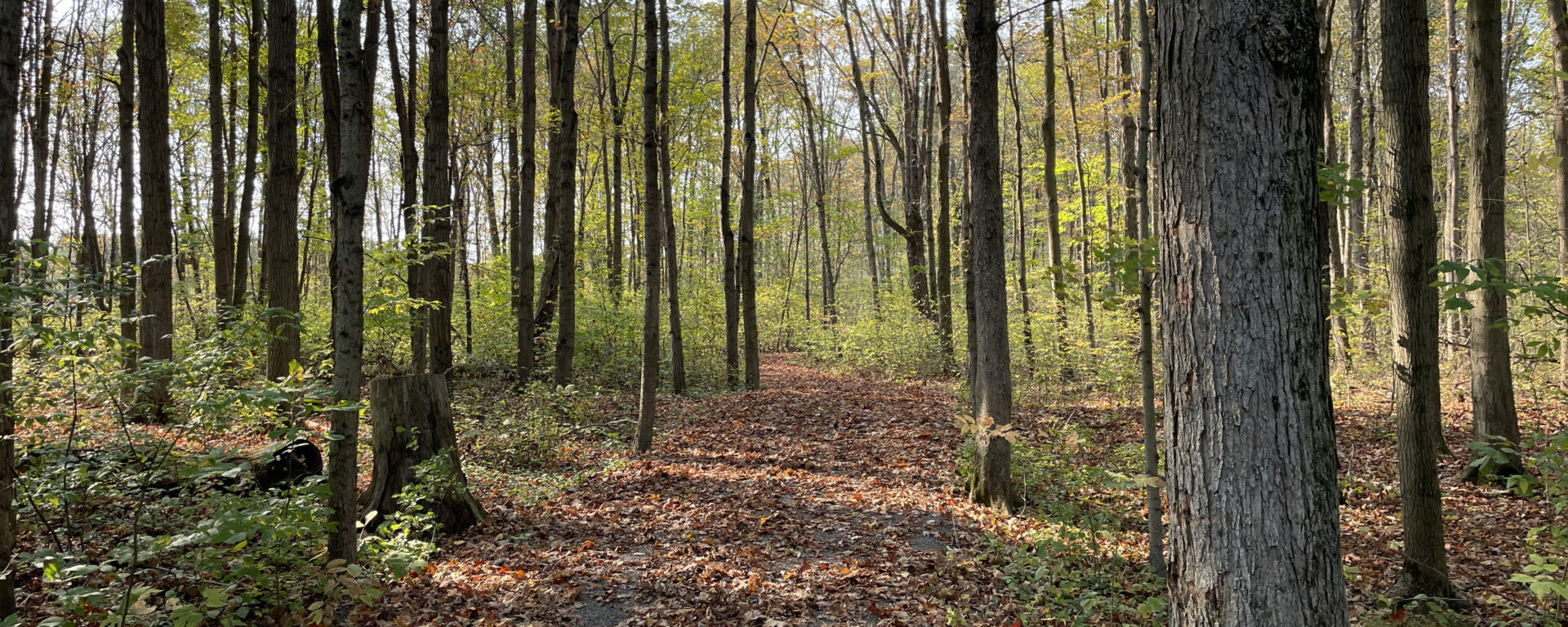 Conservation Areas - Hamilton Conservation Authority